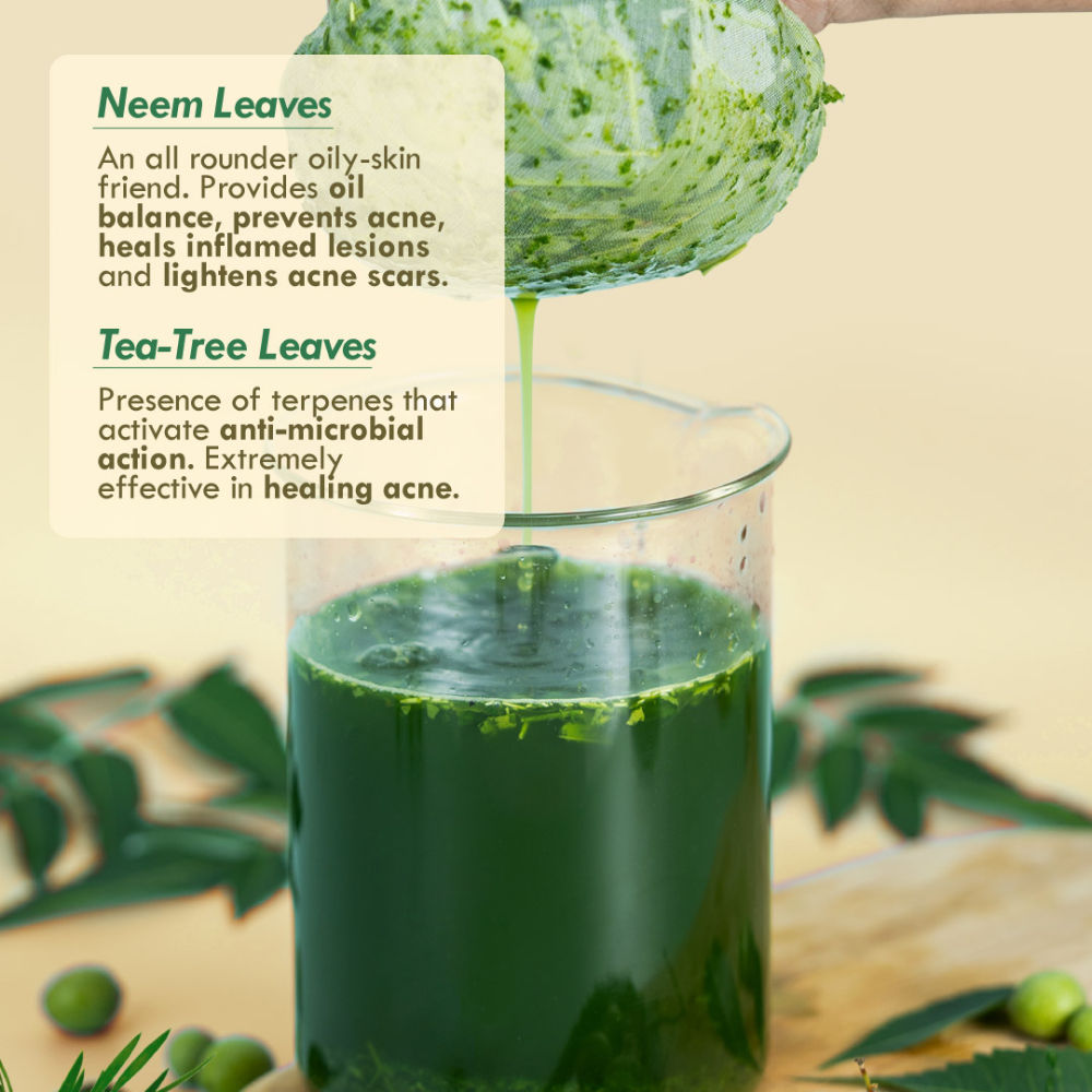 Nat Habit Fresh Neem Tea Tree Anti-Acne Gel for Oily & Acne Prone Skin ...