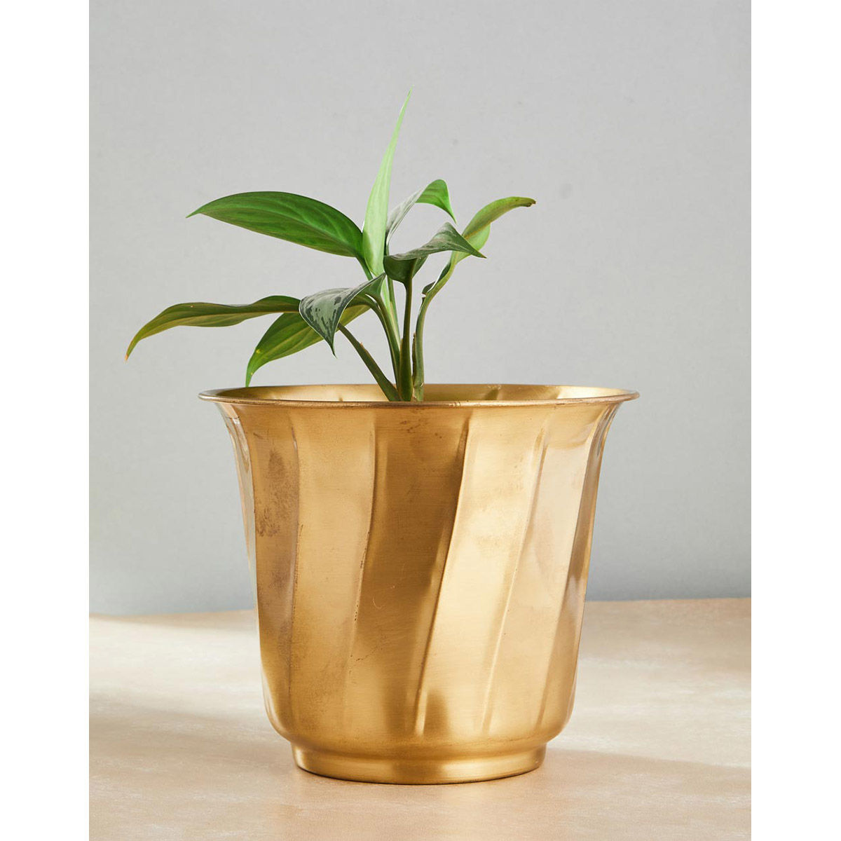 Buy Fabindia Brass Mandar Metal Table Planter Online