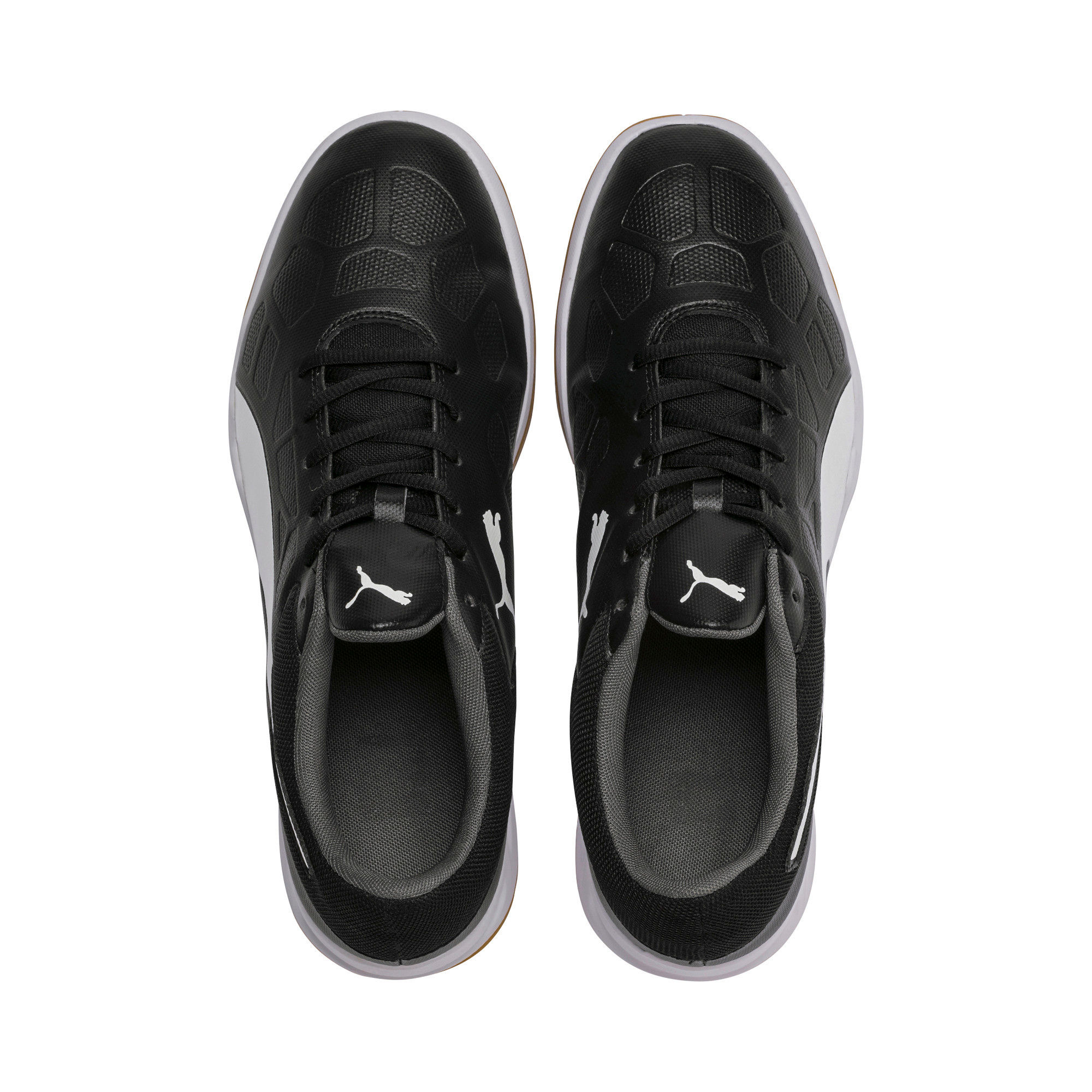 Buy Puma Tenaz Indoor Black Sport Shoes (UK 8) Online