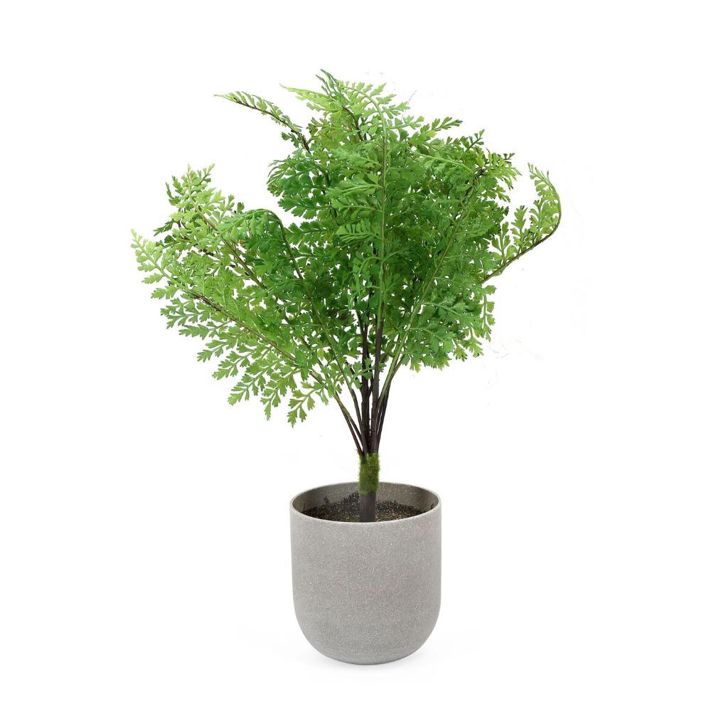 Buy Fourwalls Artificial Soft Touch Fern Bonsai Potted Plant Online