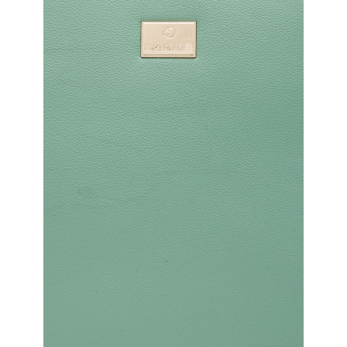 Buy Caprese Green Solid Backpack Online