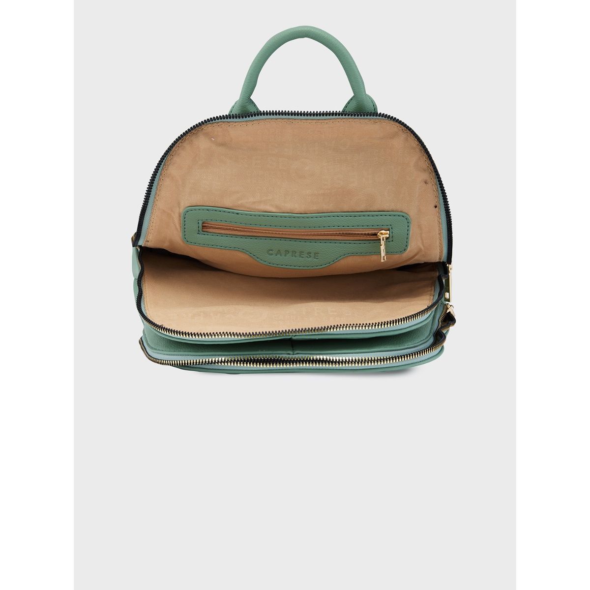 Buy Caprese Green Solid Backpack Online