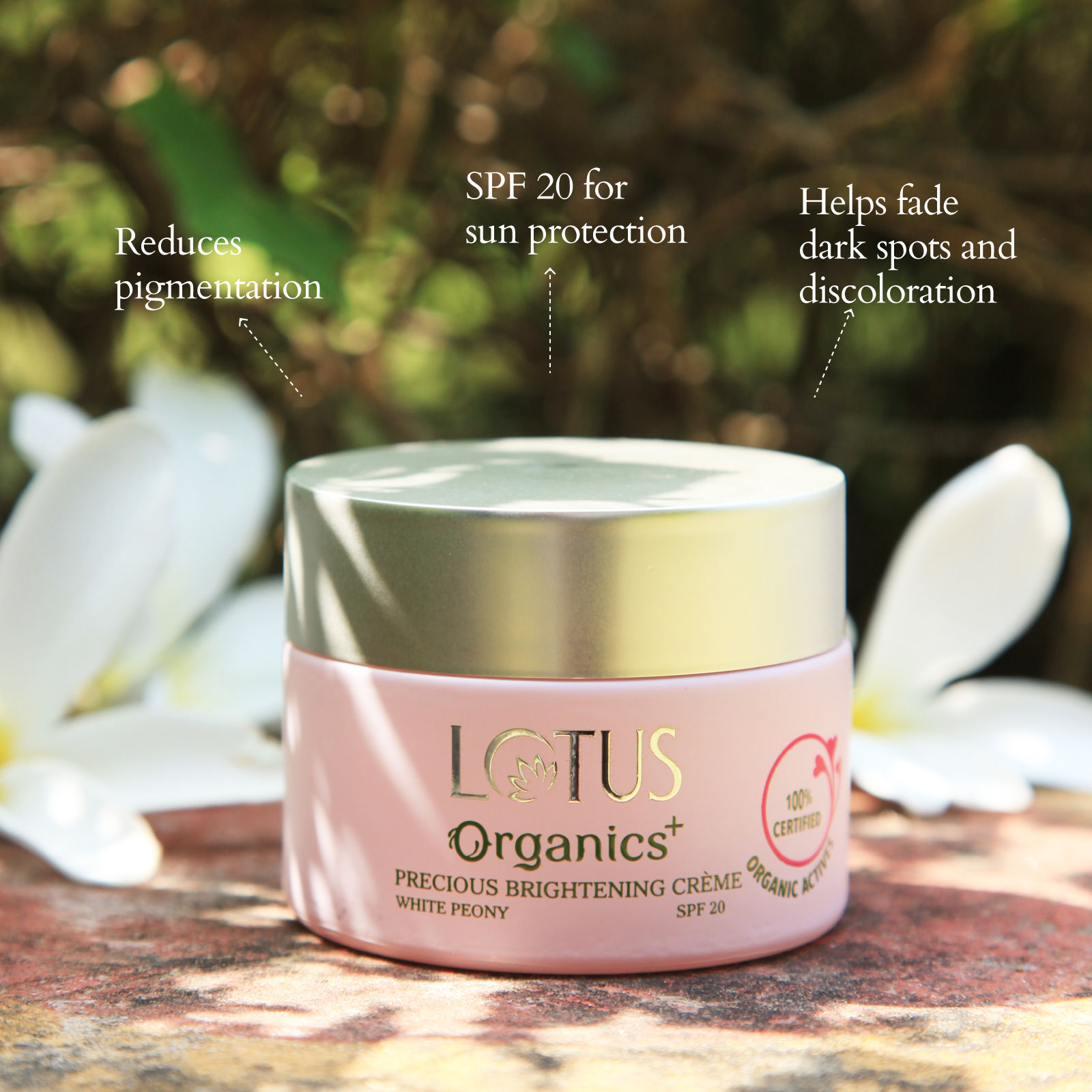 Lotus Organics Precious Brightening Creme SPF 20: Buy Lotus Organics ...