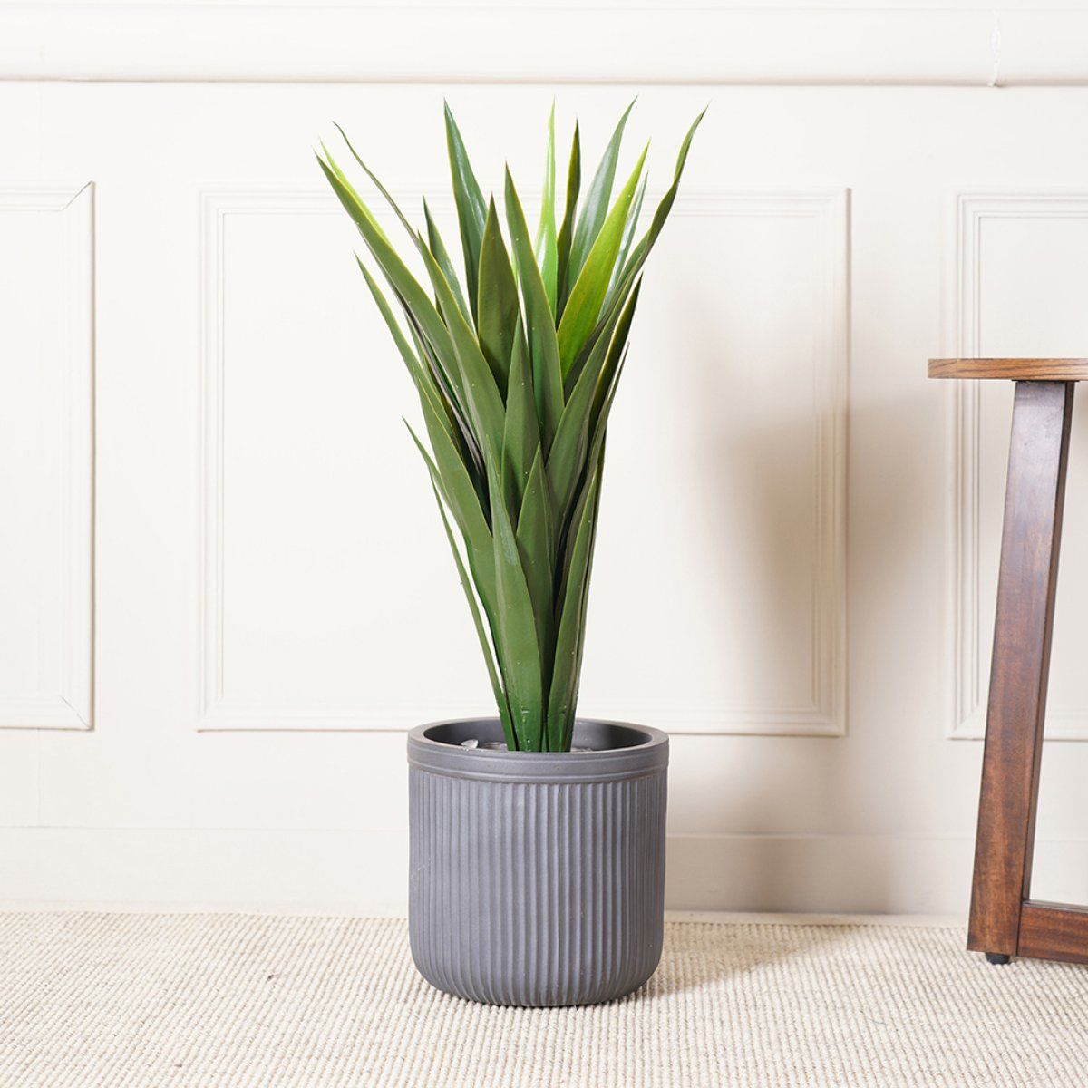 Pure Home + Living Potted Yucca Plant: Buy Pure Home + Living Potted ...