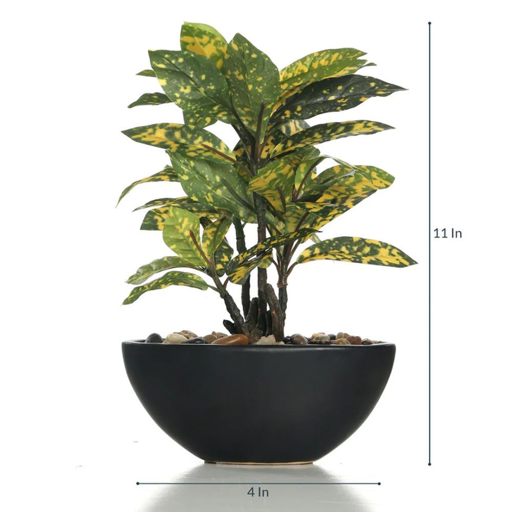 Buy Fourwalls Artificial Croton Bonsai Plant with a Ceramic Pot Online
