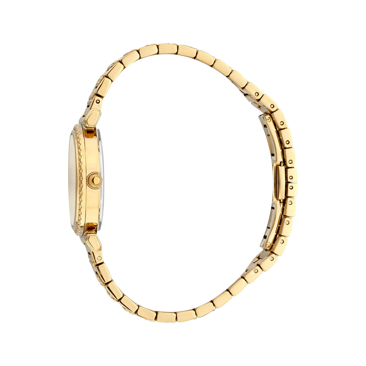 Buy Roberto Cavalli RC5L025M0055 Women Watches-Fascino Online