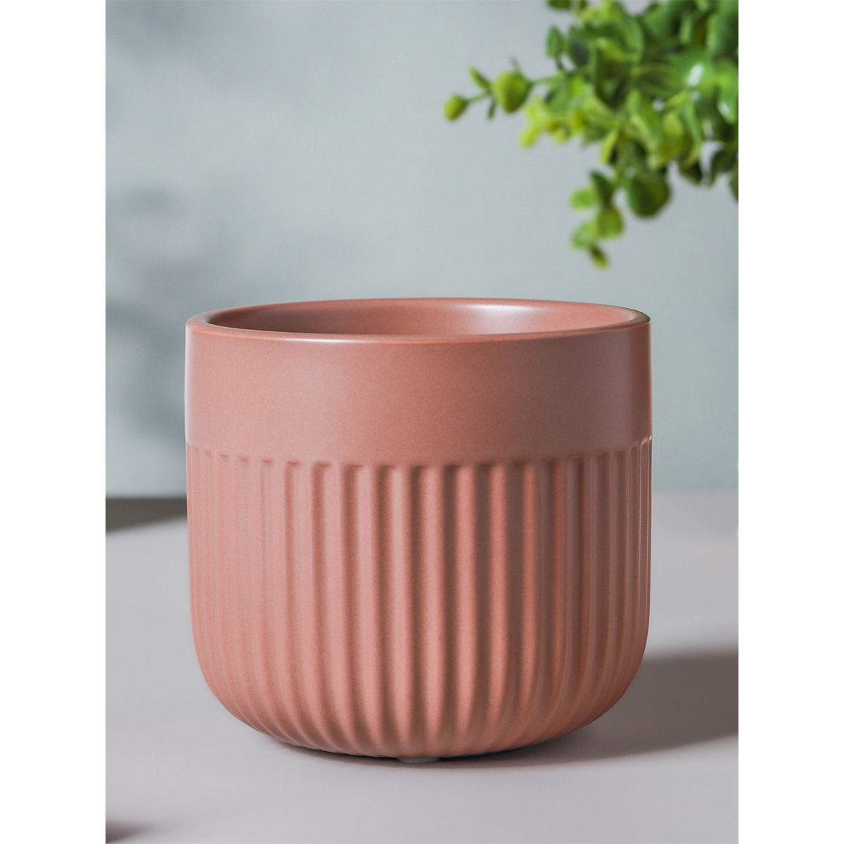 Nestasia Round Ribbed Plant Pot: Buy Nestasia Round Ribbed Plant Pot ...