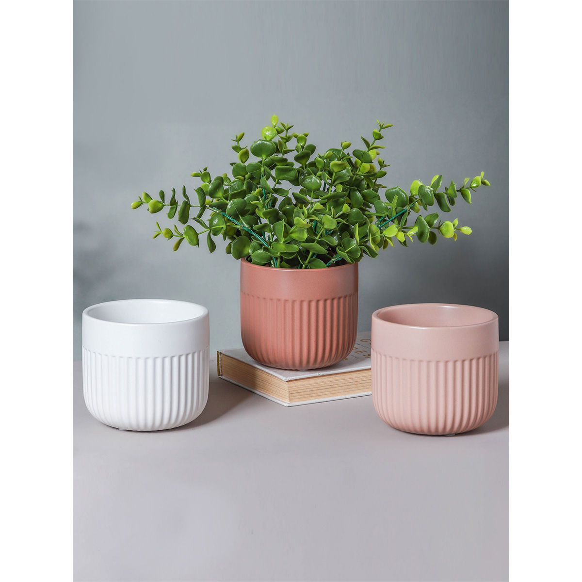 Nestasia Round Ribbed Plant Pot: Buy Nestasia Round Ribbed Plant Pot ...