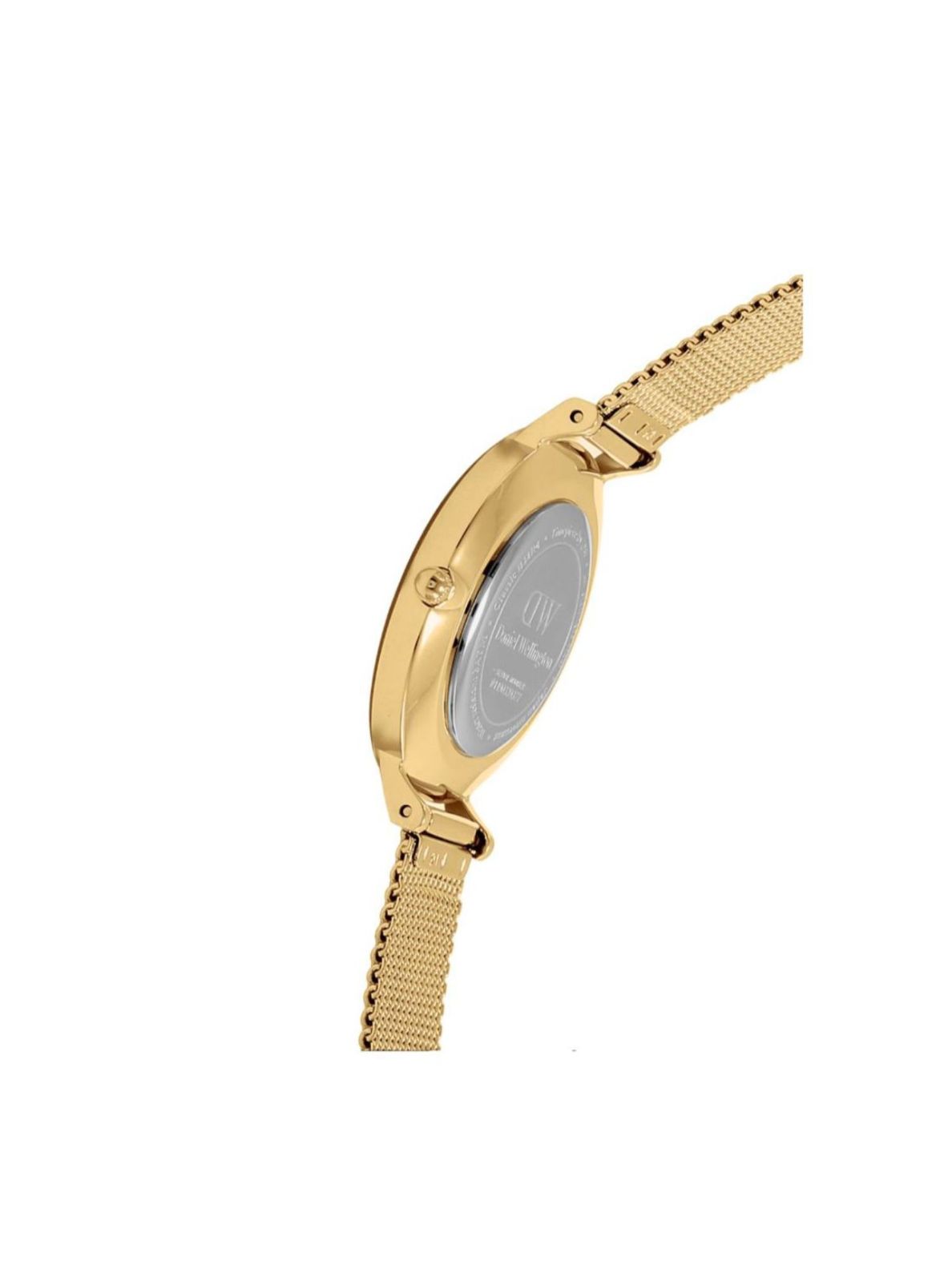 Buy Daniel Wellington Petite Evergold White Dial Watch Online