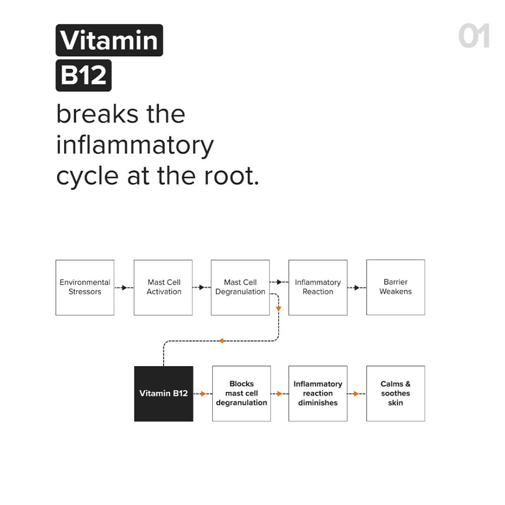 Buy Minimalist Vitamin B12 + Repair Complex 5.5% Face Moisturizer With Ceramides for Barrier ...