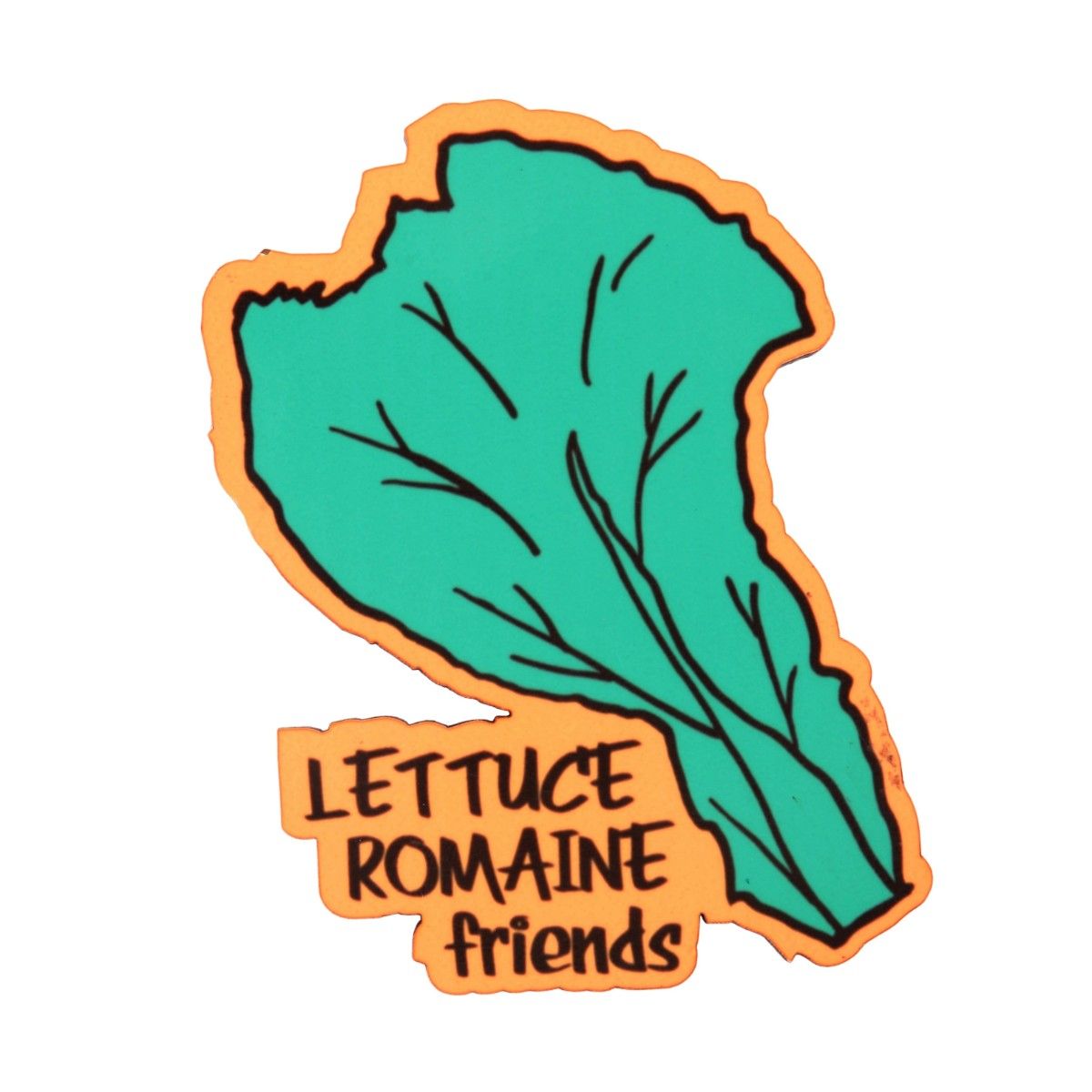Buy Eco Corner Lettuce Magnet Online