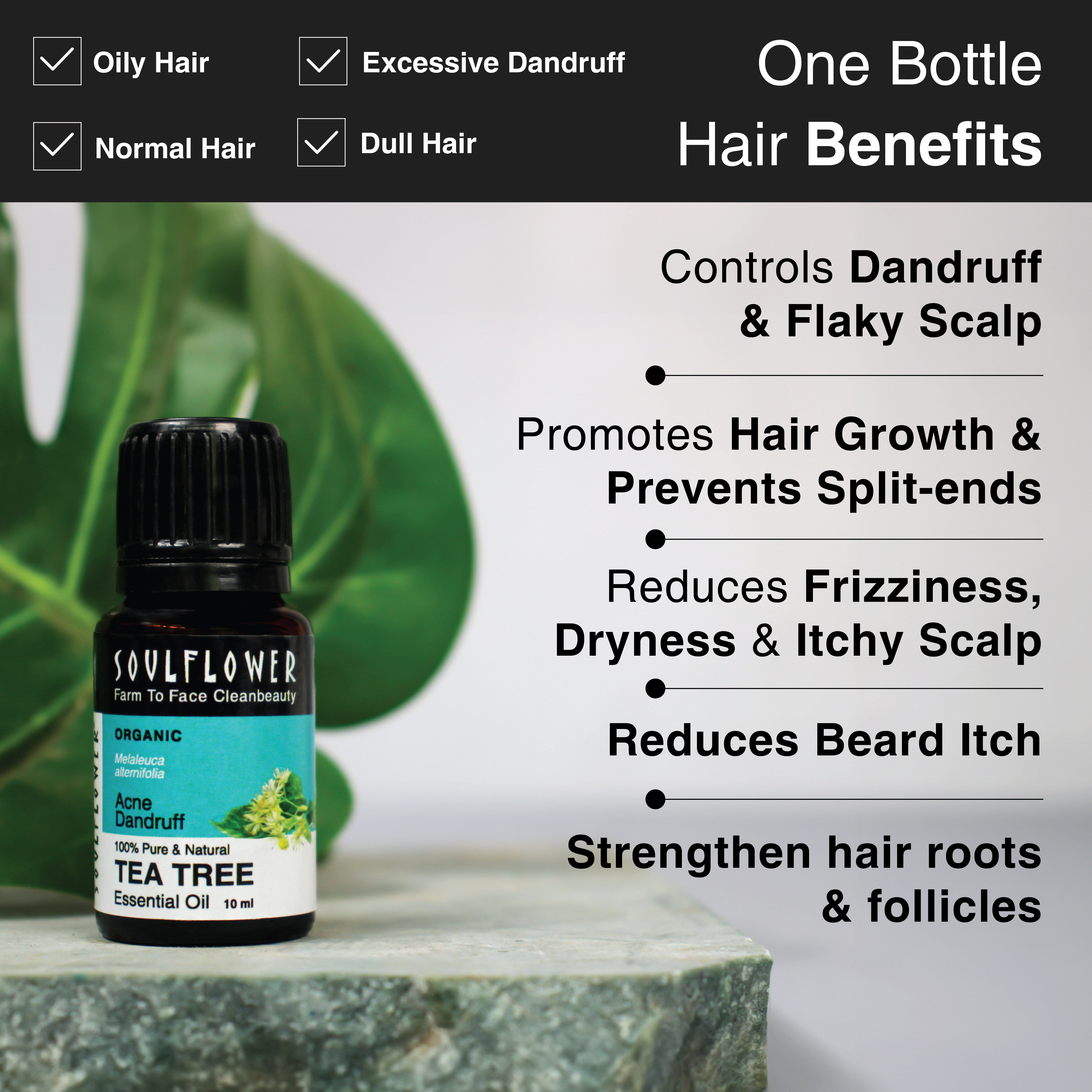Buy Soulflower Tea Tree Essential Oil For Active Acne Pimples Blemishes Flakes Online