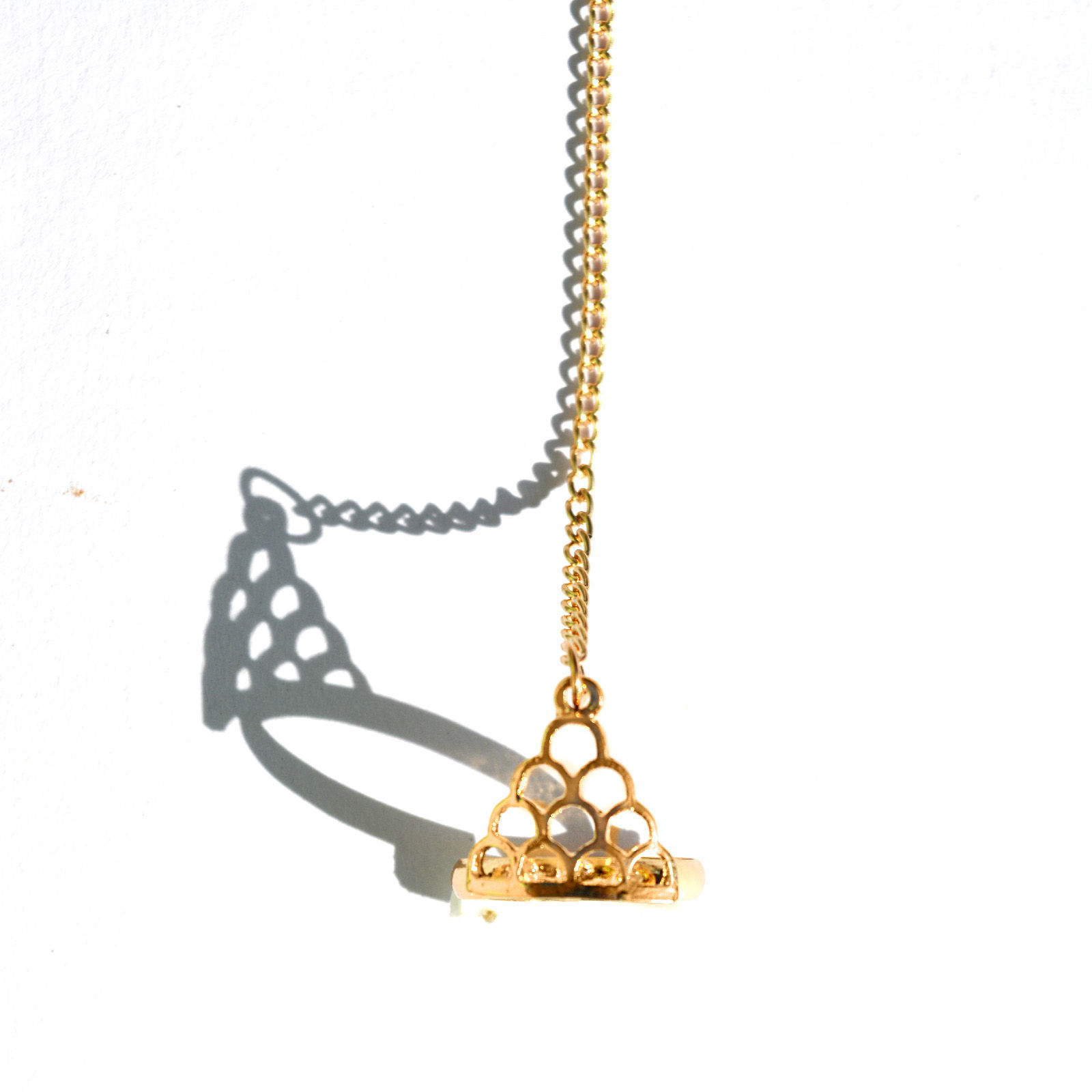 Buy Joker & Witch Fish Scale Triangular Hand Harness Online