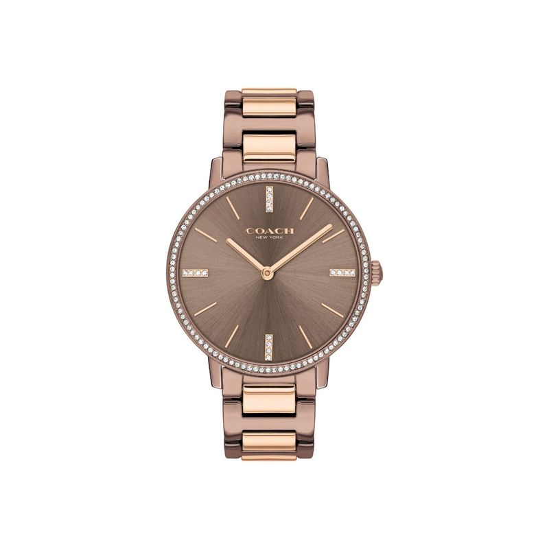 Buy Coach Watches Audrey Brown Stainless Steel Ladies Watch Co14503502w ...