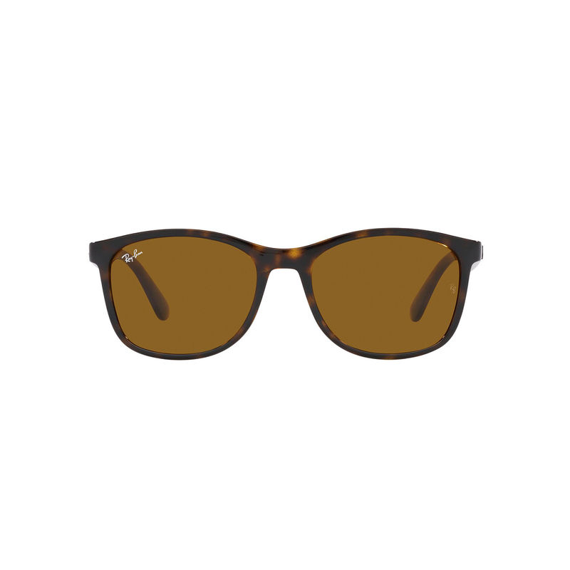 Buy Ray-Ban Havana Sunglasses Online