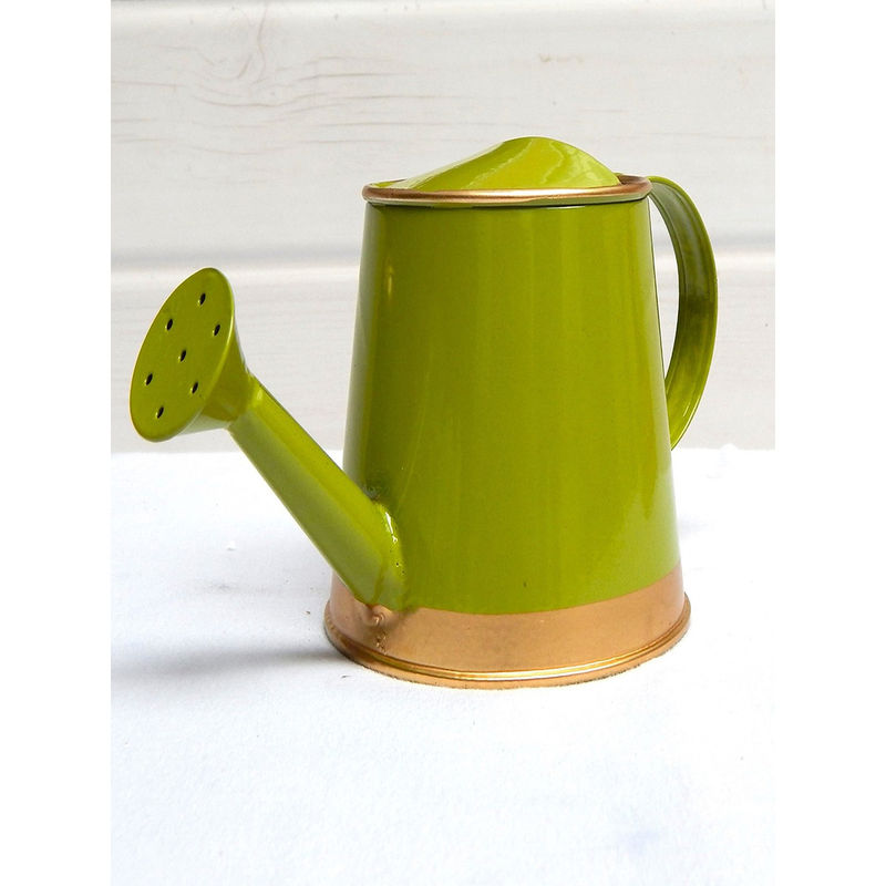Buy Ecofynd Light Green Small Metal Watering Can Online