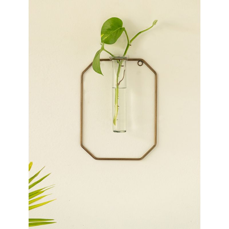 ExclusiveLane Modern Glass Garden Test Tube Wall Planter-Vase with ...