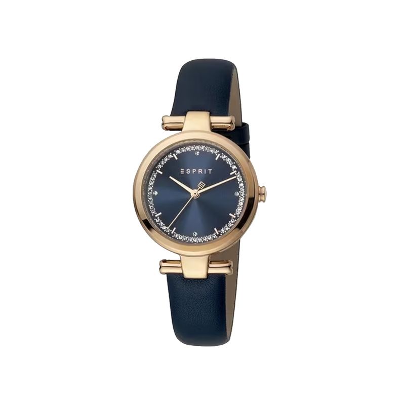 Buy Esprit Blue Dial Women Watch ES1L203L0055 (M) Online