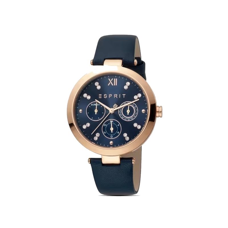 Buy Esprit Blue Dial Women Watch ES1L213L0035 (M) Online