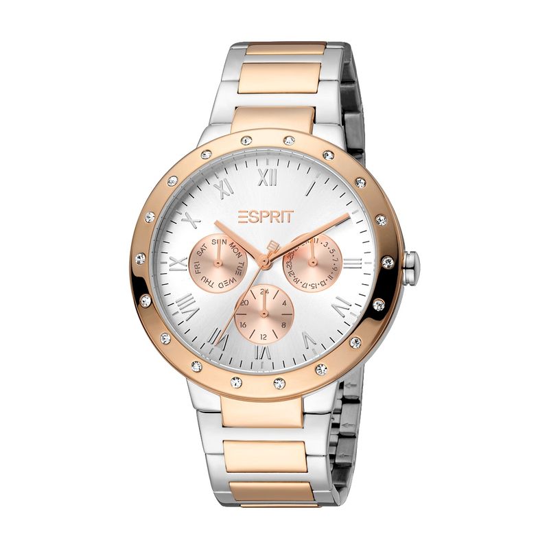 Buy Esprit Silver Dial Women Watch ES1L225M0085 (M) Online
