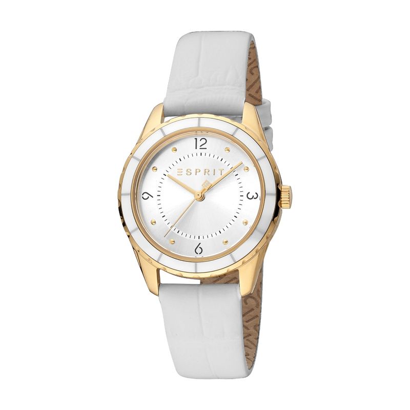 Buy Esprit Silver Dial Women Watch ES1L348L0035 (M) Online