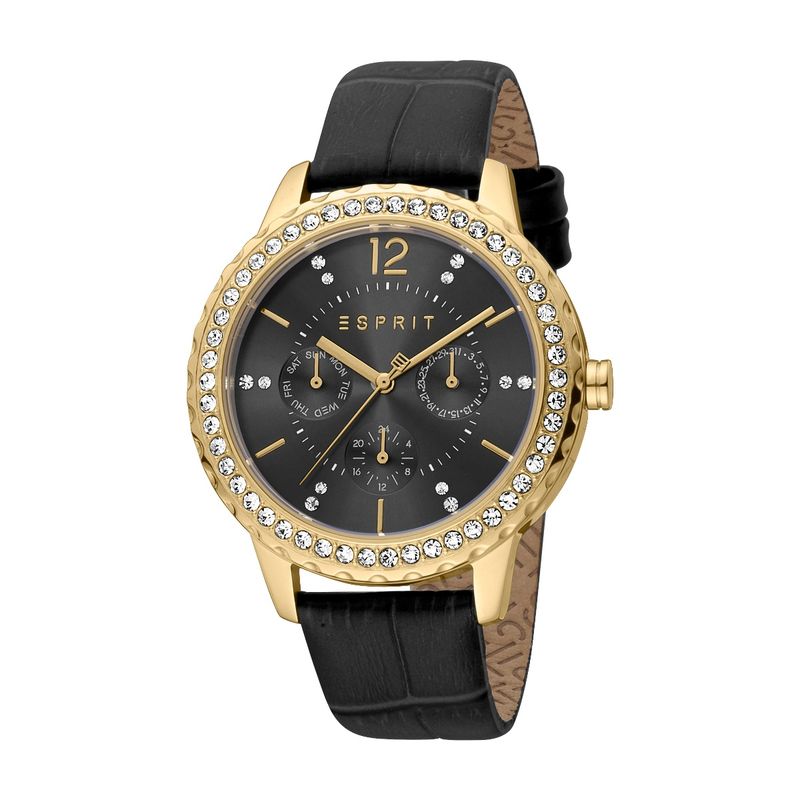 Buy Esprit Black Dial Women Watch ES1L356L0025 (M) Online