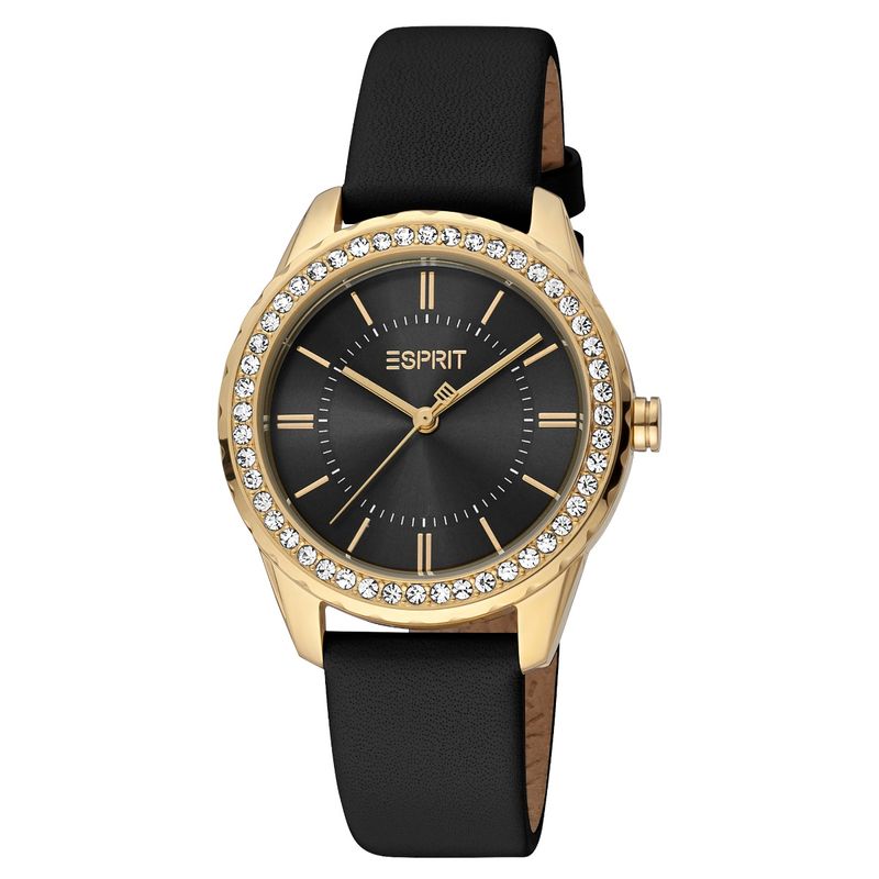 Buy Esprit Black Dial Women Watch ES1L381L0085 (M) Online