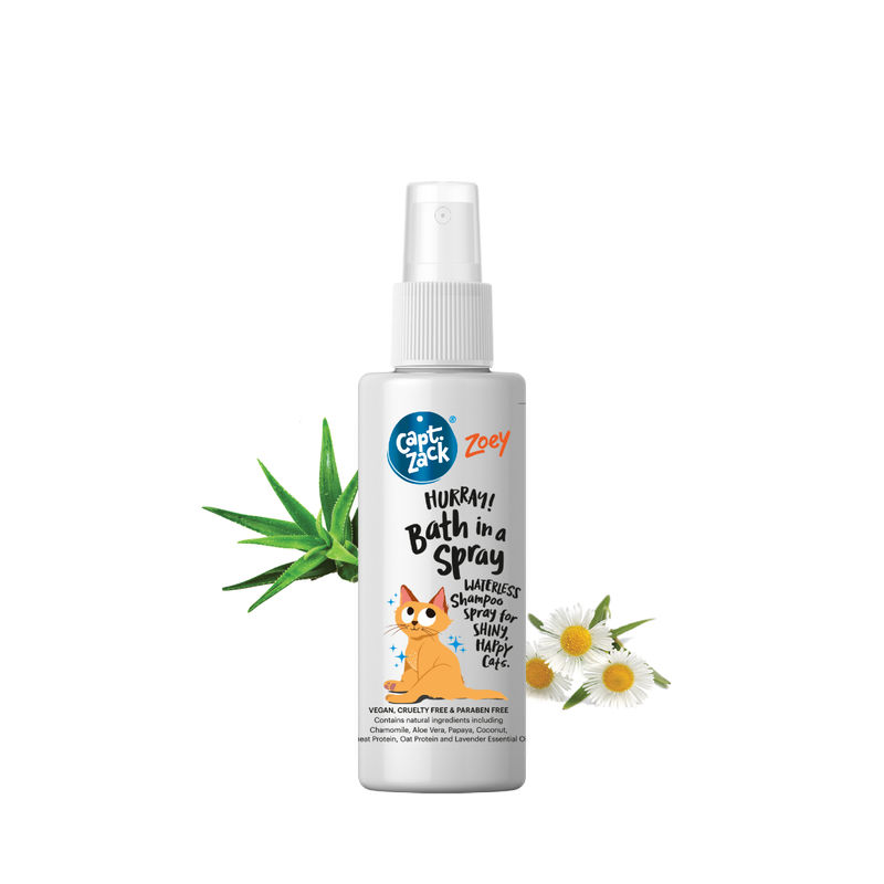 Captain Zack Zoey - Hurray Bath In A Spray for cats: Buy Captain Zack ...