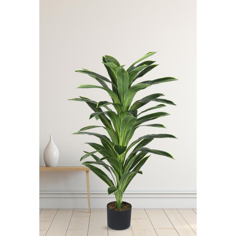 Buy Home Bloom Artificial Dracaena Reflex Plants for Indoor & Outdoor ...