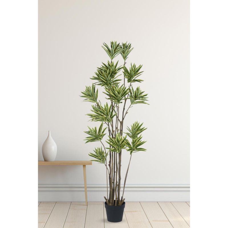 Buy Home Bloom Artificial Dracaena Reflex Plants for Indoor & Outdoor ...