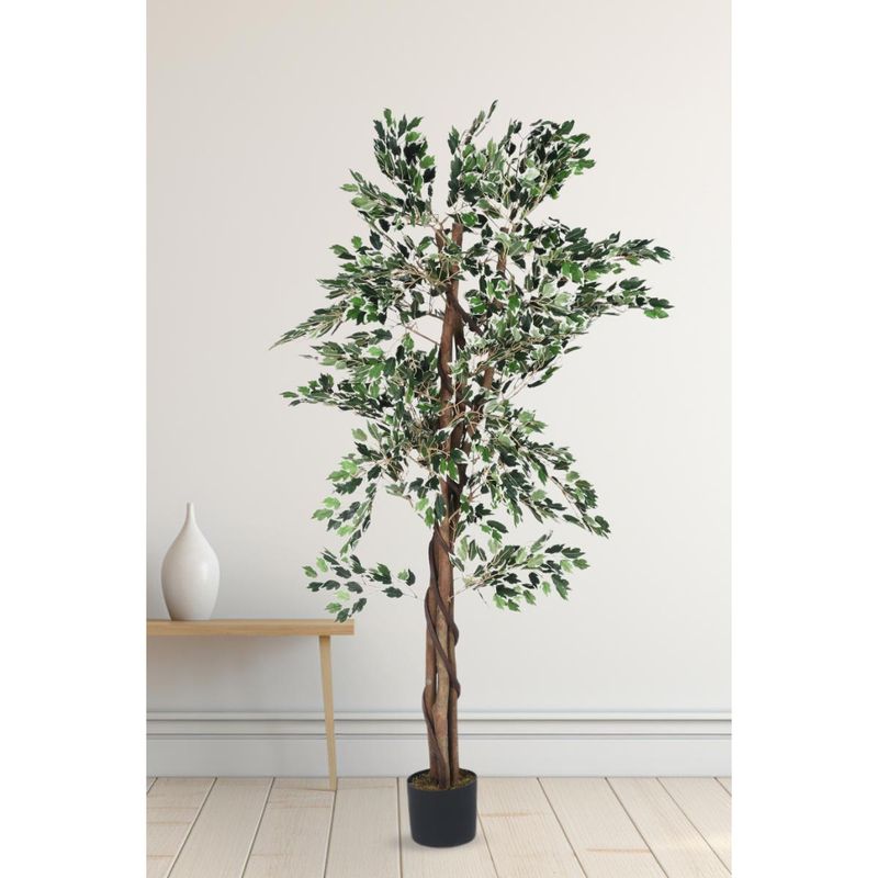 Buy Home Bloom Artificial PVC Variegated Ficus Plants for Home with Pot ...