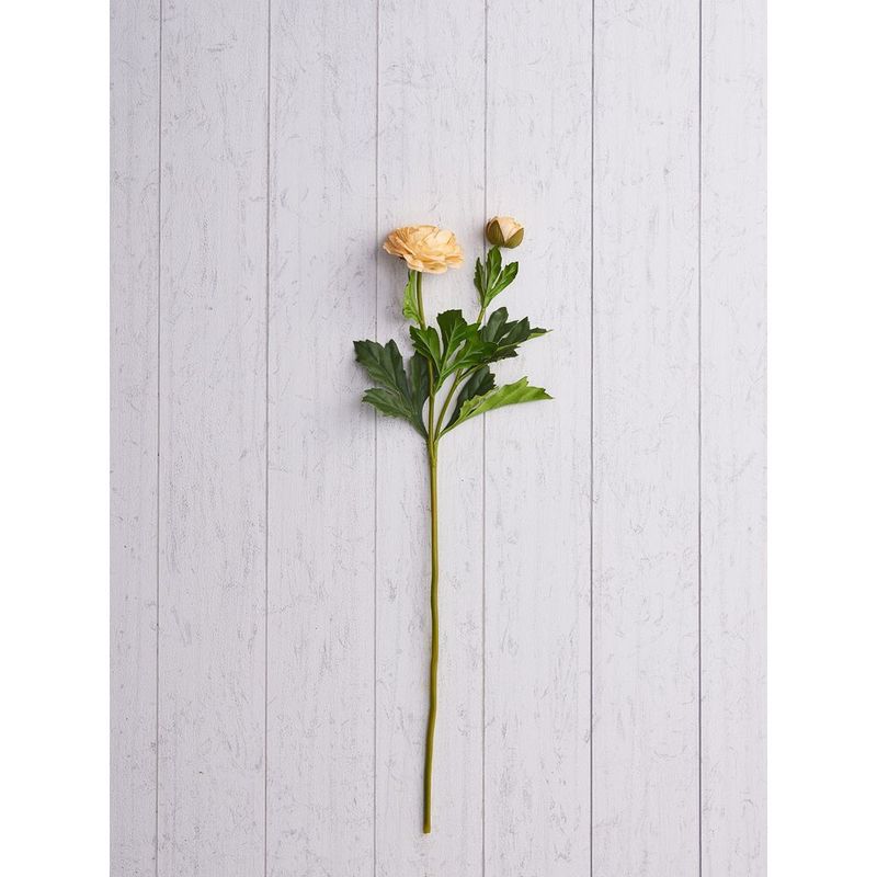Pure Home + Living Small yellow Ranunculus Stem: Buy Pure Home + Living ...