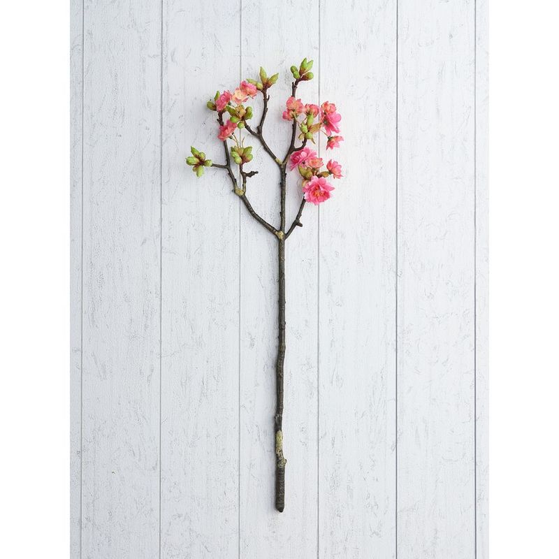 Pure Home + Living Small Dark Pink Stem: Buy Pure Home + Living Small ...