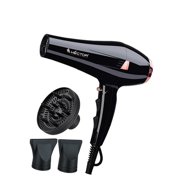 Buy Hector Professional 2500 Watt Tornado Hair Dryer For Men And Women ...