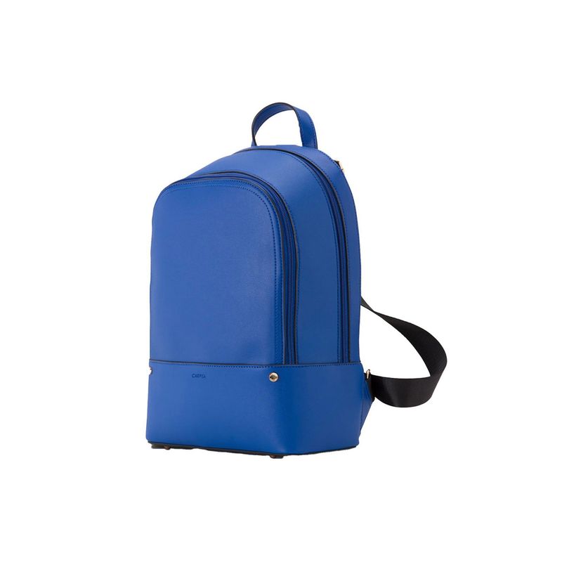Buy CARPISA Stylish Backpack Online