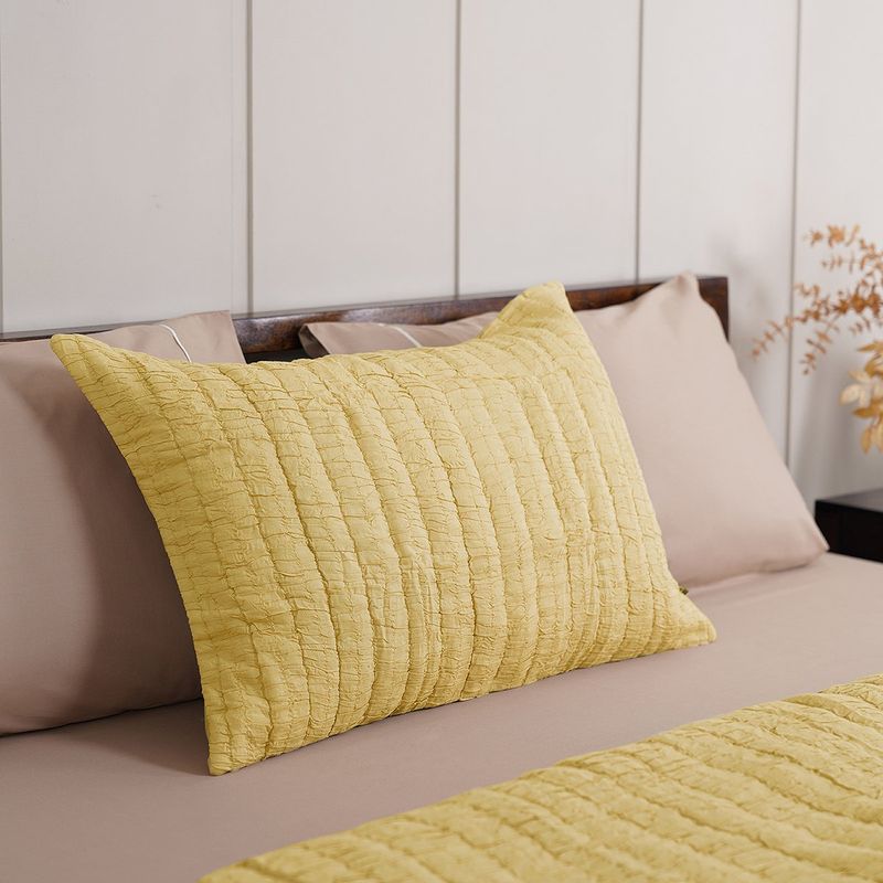 Pure Home + Living Yellow Superfine Voile Sham: Buy Pure Home + Living ...