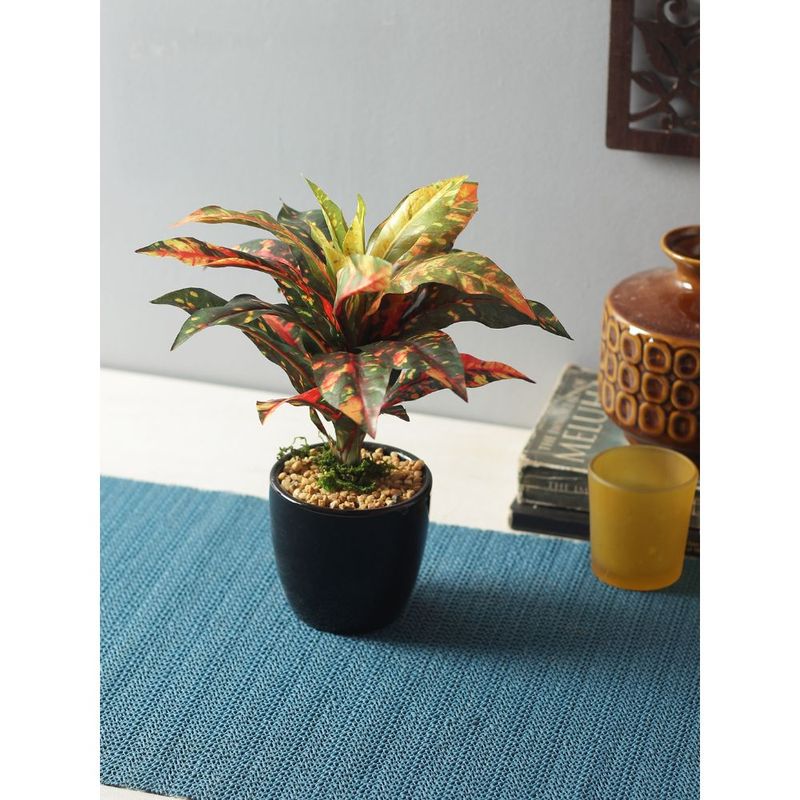 Buy Fourwalls Artificial Croton Bonsai Plant with a Ceramic Pot Online