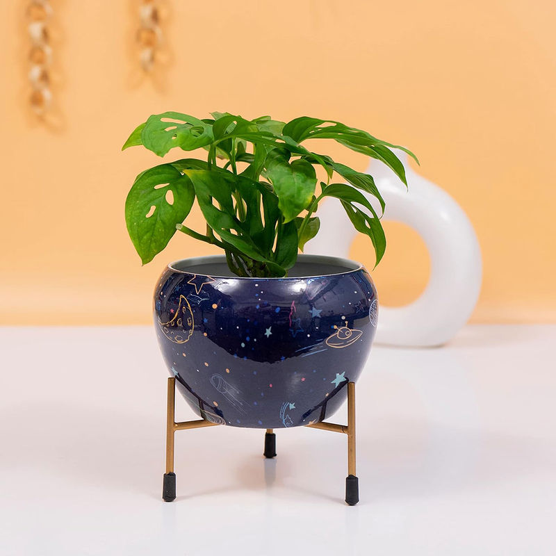 Buy KYARI Decorative Space Design Planter Pot with Tripod Metal Stand ...