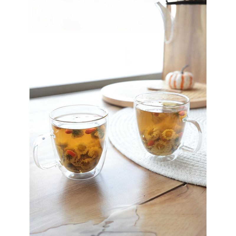 Buy The Better Home Zest Series Double Wall Glass Cup 2Pcs 400ml ...