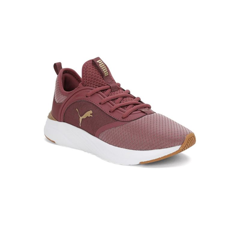 Buy Puma Softride Ruby Better Women Purple Running Shoes Online