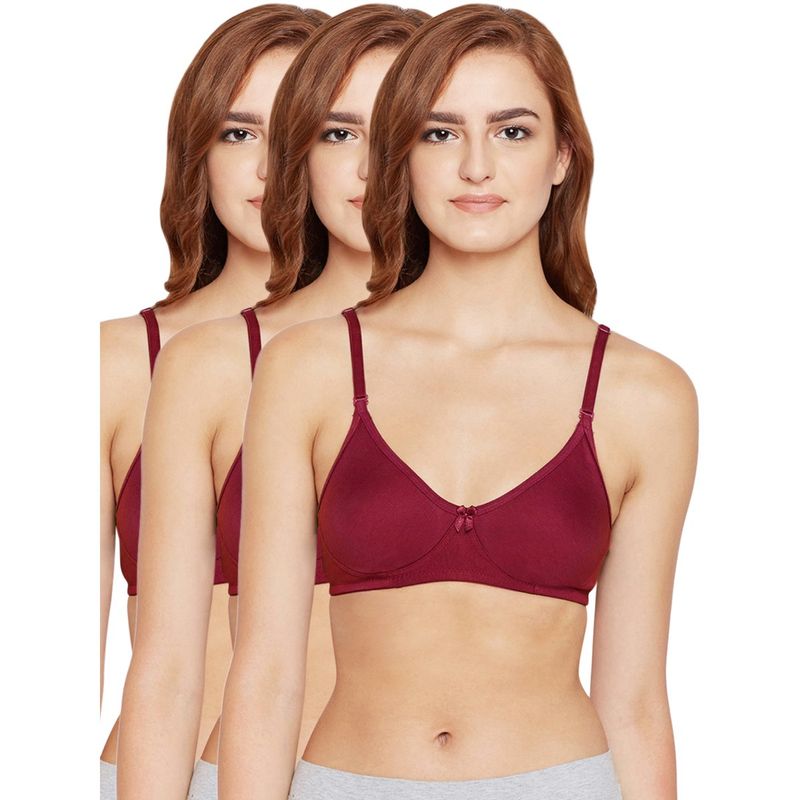 Buy Bodycare Cotton Spandex Lightly Padded Non Wired Seamless Cup Bra (Pack of 3) Online