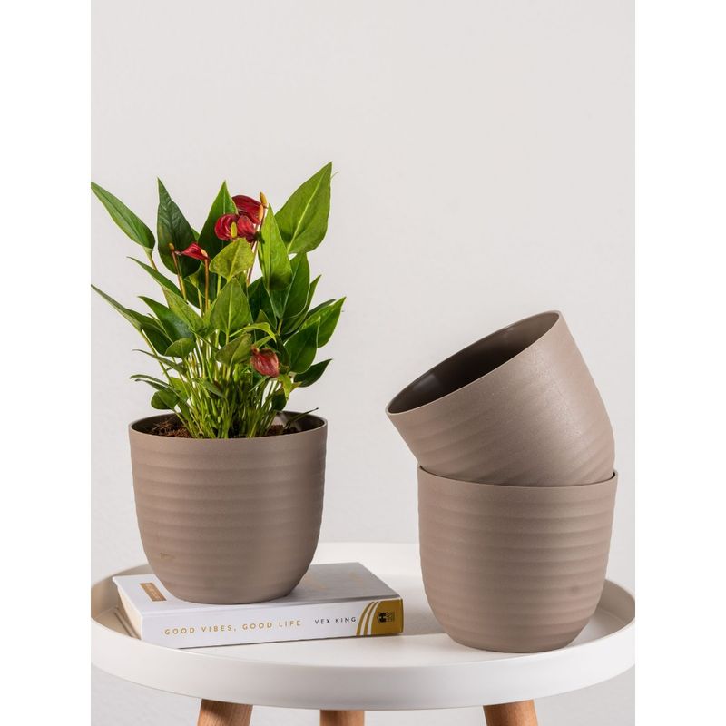 Buy Nurturing Green Combo of 3 Mocha Plastic Fibre Planters Online