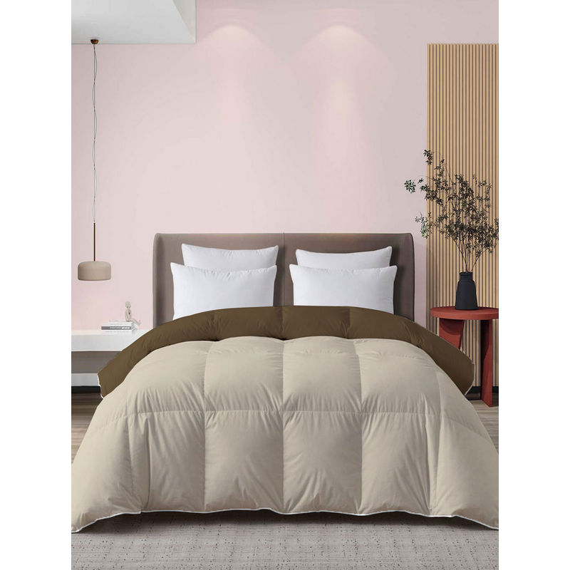 Buy MULBERRY LIVING Double Cream & Brown Reversible Comforter(Queen) Online