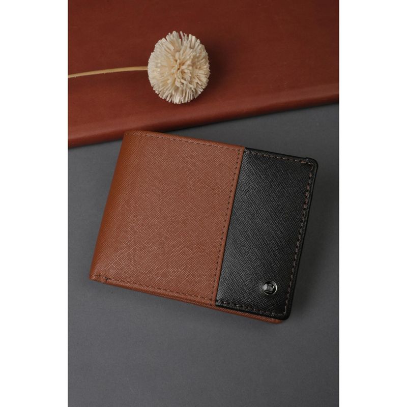 Buy Louis Philippe Men Brown Colorblock Leather Wallet Online