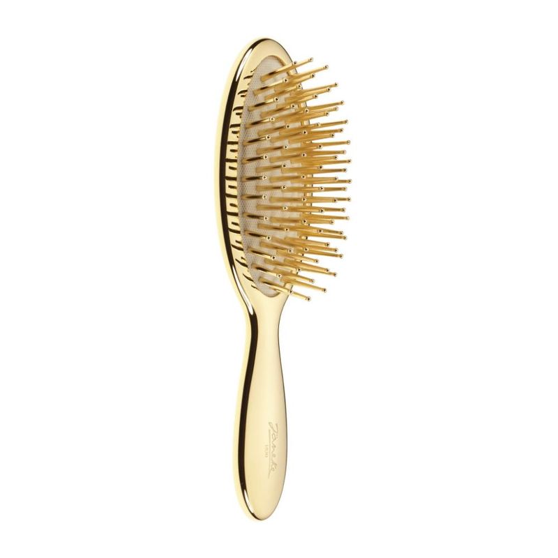 Buy JANEKE Professional Body Spikes Gold and White Rubber Hair Brush Online