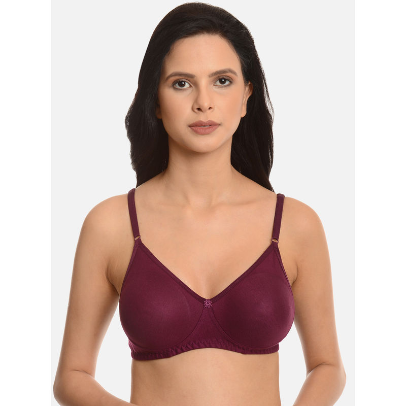 Buy Mod & Shy Wine Non-Padded Non Wired Basic Bra Online