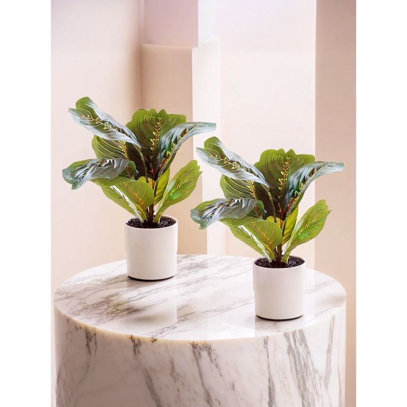 Buy The Better Home Artificial Plant with Pot (Pack of 2) Online