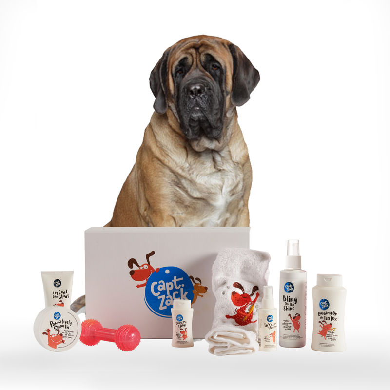 Buy Captain Zack - The Mastiff Groom Box Online