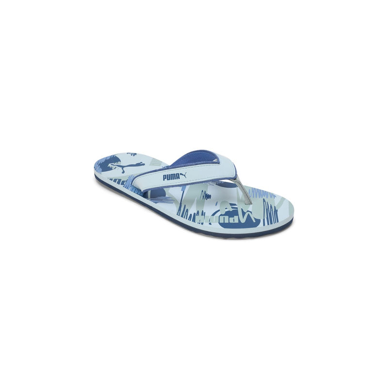 Buy Puma Terra Womens Blue Flipflops Online