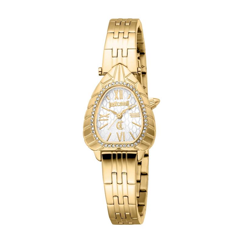 Buy Just Cavalli Women Perla Silver Dial Analog Watch - JC1L366M0055 (M ...
